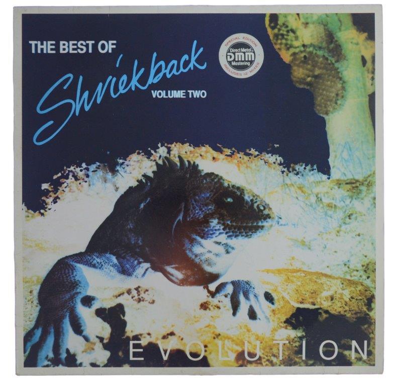 Płyta winylowa: Shriekback - The Best Of Shriekback Volume Two ...